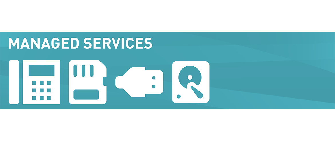 Managed Services | TGS Enterprise Networks